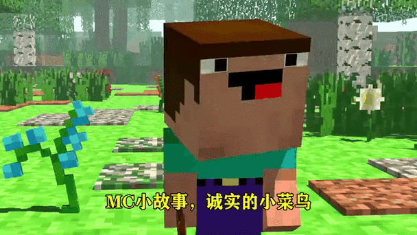 我的世界菜鸟的故事图标