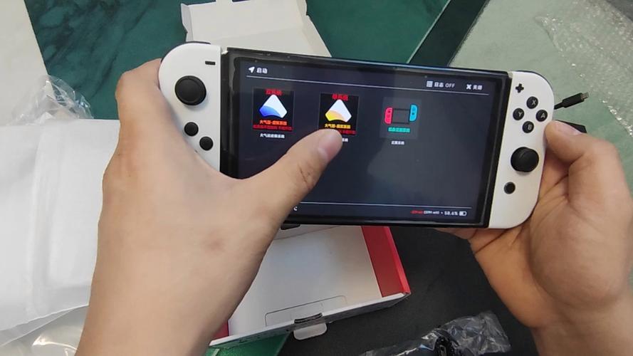 switch新手入门图标