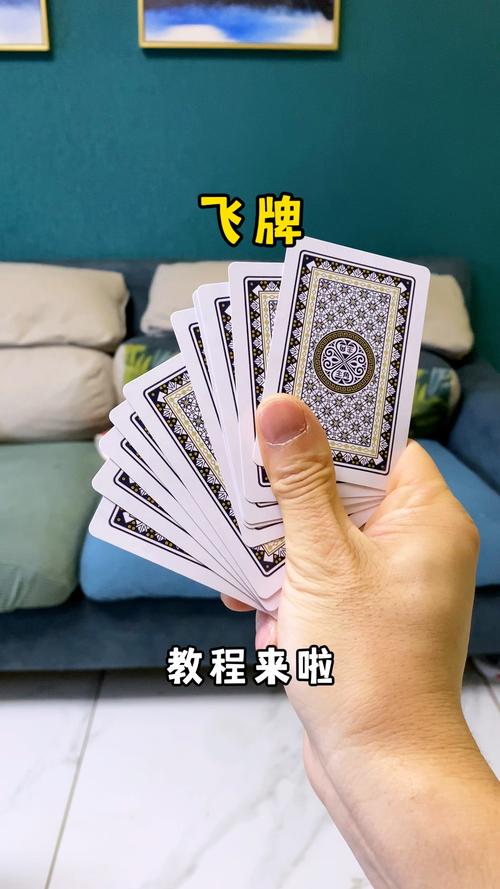 儿童飞牌教学图标