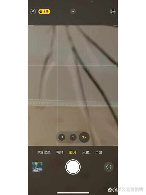 苹果手机照相机有条纹怎么办截图