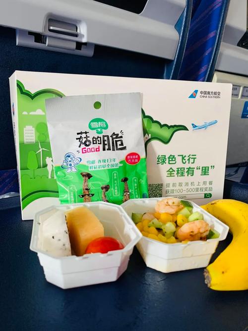 飞机上让带零食吃的吗图标