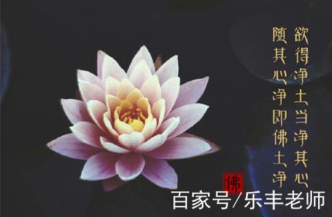 佛教五毒六欲七情八苦图标