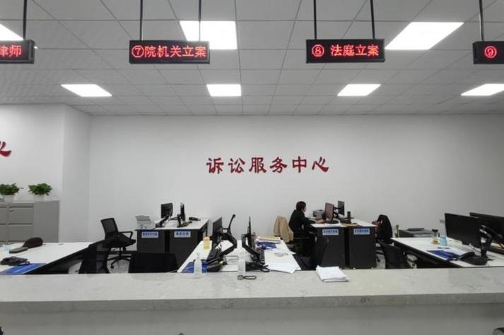 武汉诉讼服务中心截图