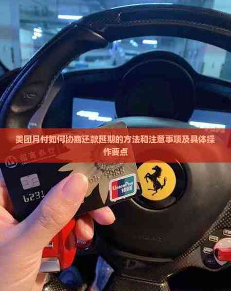 美团如何协商延期还款技巧图标