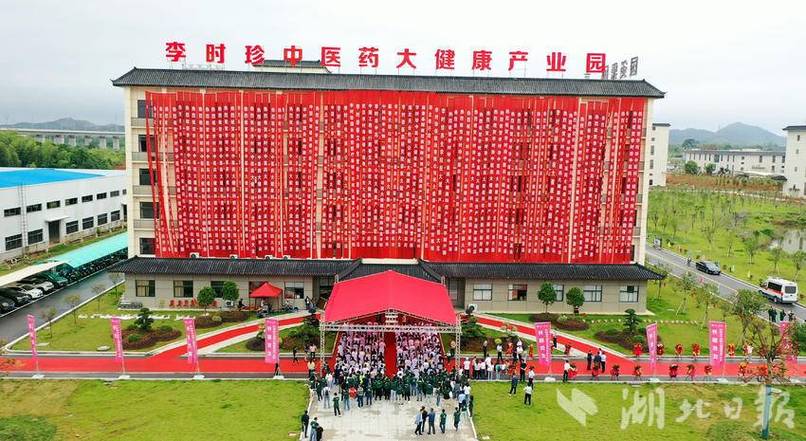 湖北大健康产业公司图标