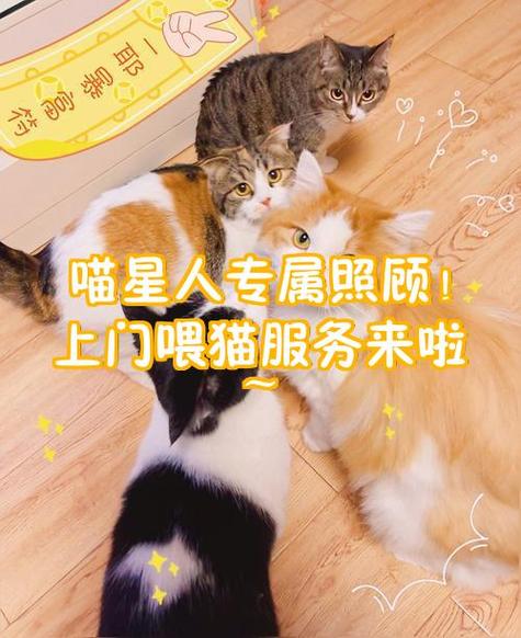 行走喵星人赚钱软件图标