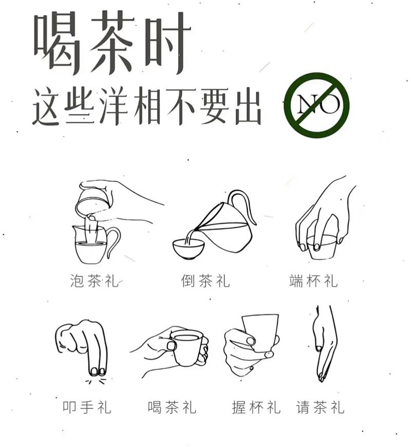 茶茶直装v2使用教程图标