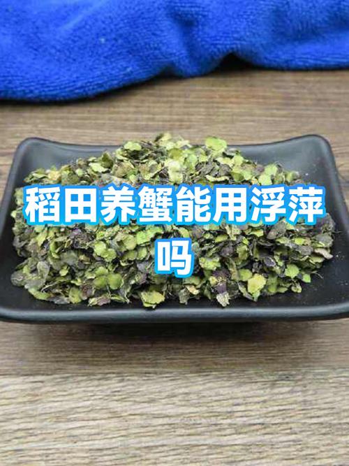 稻田养蟹每亩利润图标