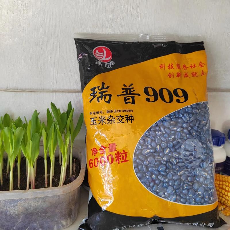 瑞普909多少钱一袋图标