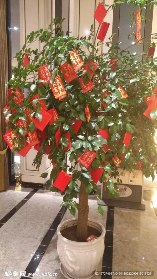 摇钱树红包版图标