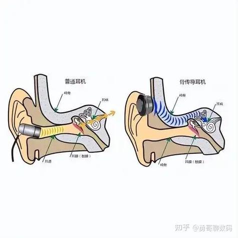 骨传导和骨诱导区别图标