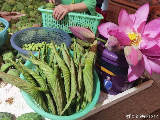 荷叶有什么用处