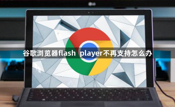 flashplayer可以删除吗图标