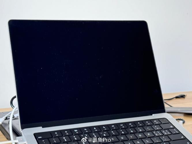 苹果笔记本屏幕上的键盘印截图