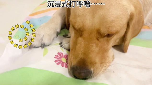 再大声音大一点