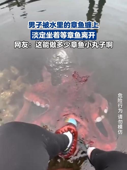 章鱼缠人截图