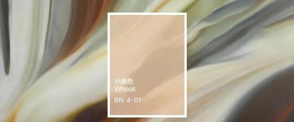 浅麦是什么截图