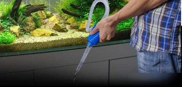 鱼缸水有臭味怎么办截图