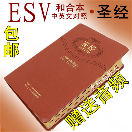 《圣经》旧约新约图标