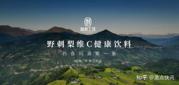 大激梨购票平台官网入口截图