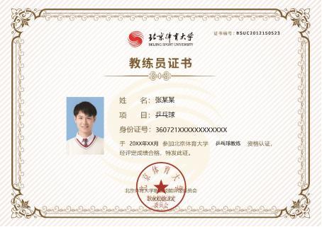乒乓球裁判证报名入口图标