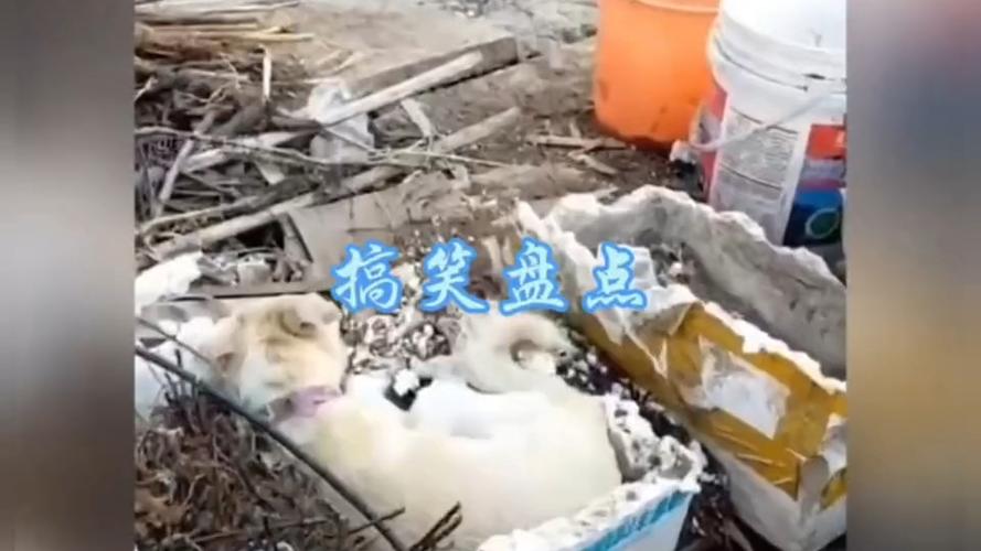 盘点那些搞笑瞬间图标