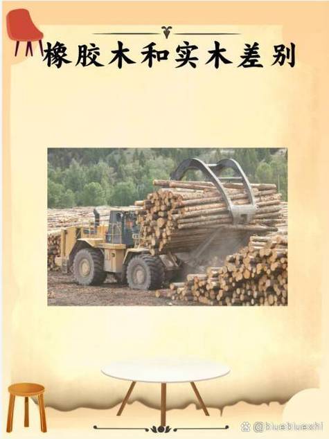 后期敏木好还是体木好图标
