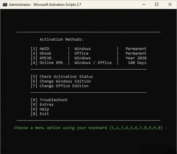win10激活工具一键永久激活免费版图标