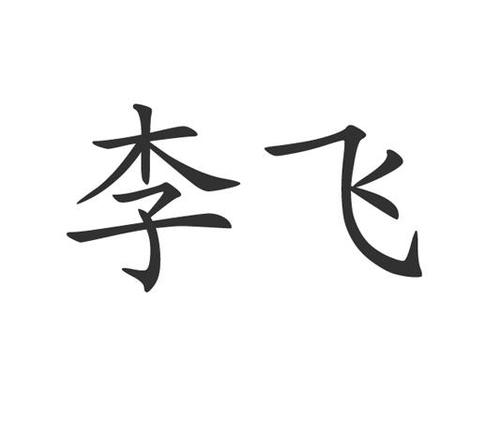 李飞的公司叫什么图标