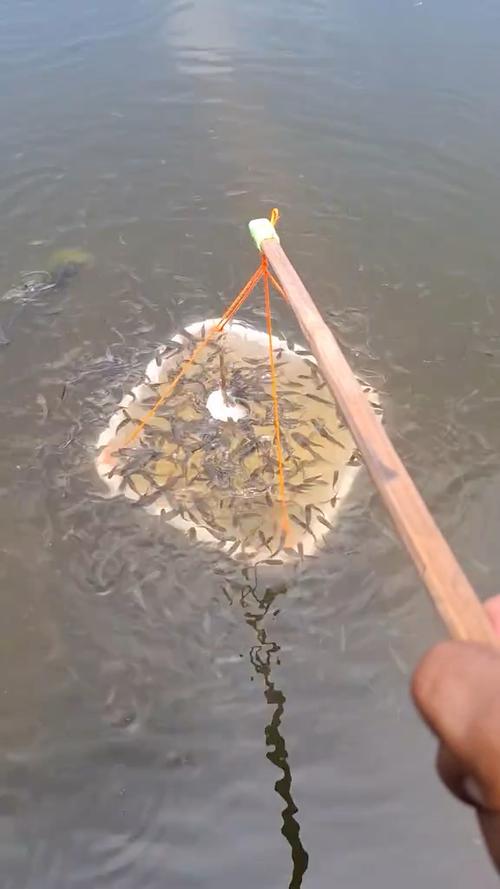捕鱼游戏开挂神器图标
