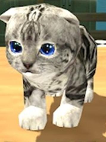 猫咪模拟器下载正版图标
