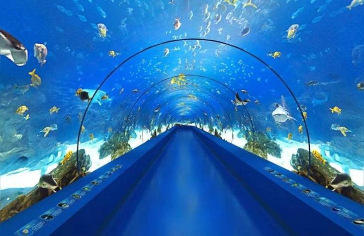 南京奇幻海洋截图