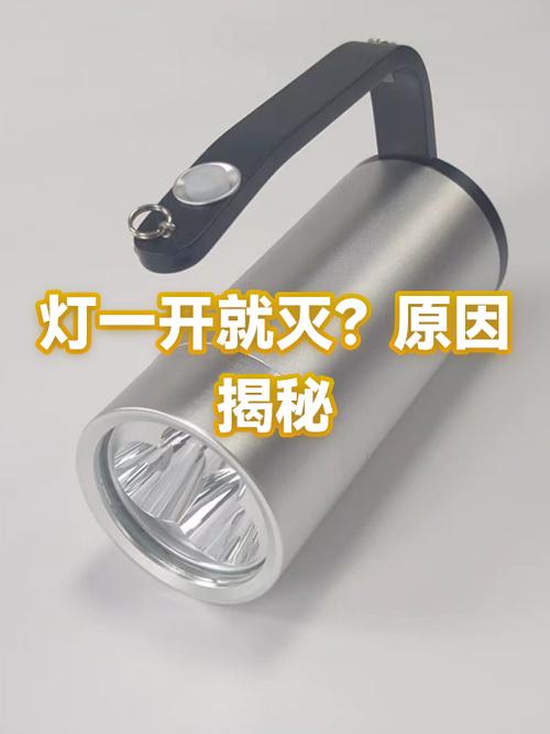 开关打开灯亮一会儿就灭截图