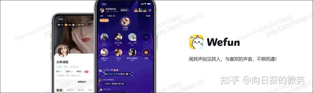海外WeFun语音软件图标