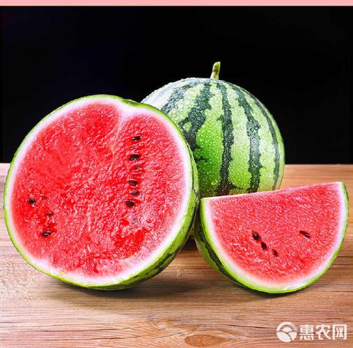西瓜广告布麒麟瓜图标