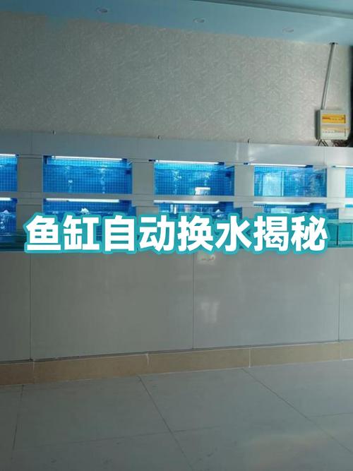 鱼缸下循环不排水是咋回事截图