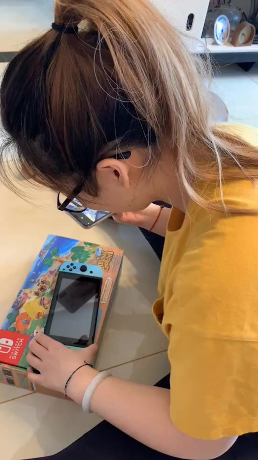 switch恢复出厂设置会怎么样图标