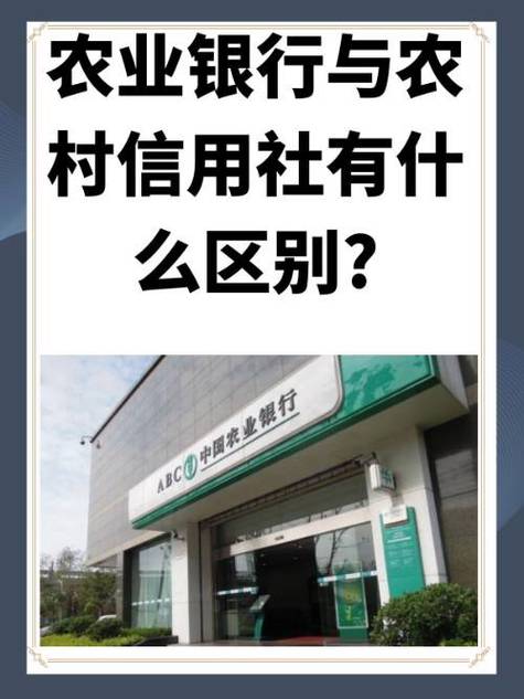 农村信用社换卡不换号怎么办理图标