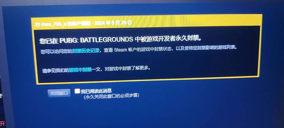 去网吧吃鸡要付98吗截图