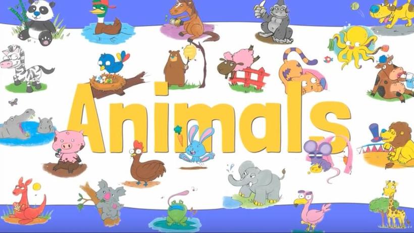 animals英语怎么读图标