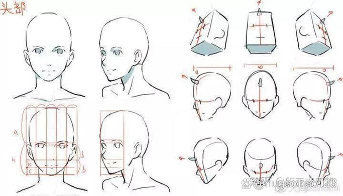 美术应该按照什么顺序学图标