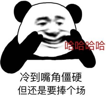 熊猫客服图标