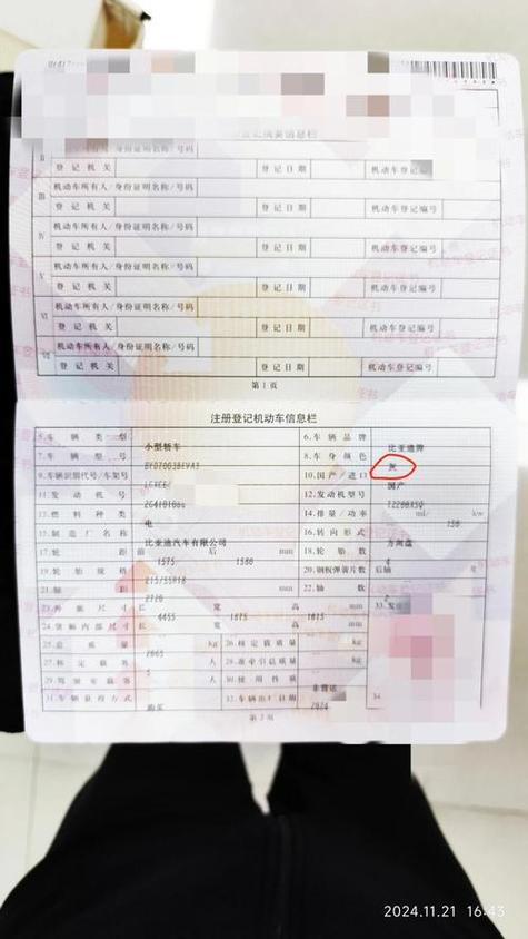 12123怎么查绿本图标