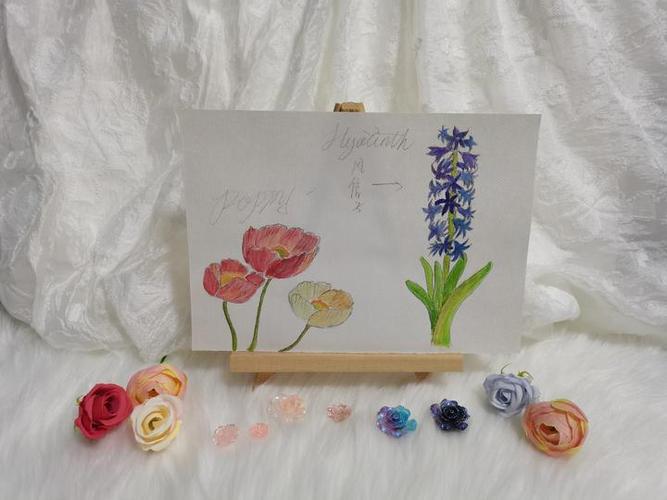 风信花虞美人图标