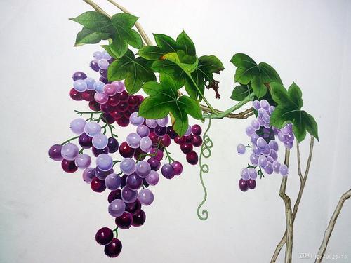 葡萄彩绘截图