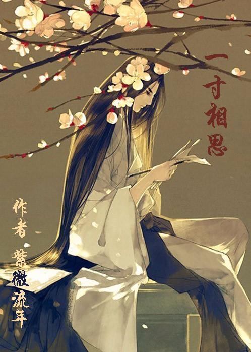 一寸相思小说图标