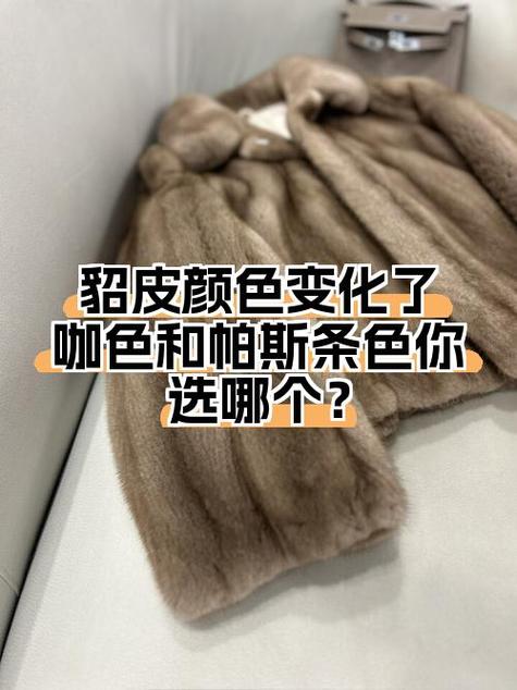 黑色貂皮是亮的好还是黑的好图标