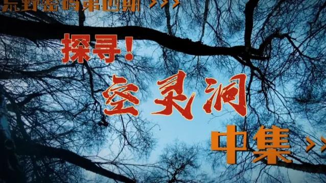 荒野乱斗可以用手机号登录吗图标