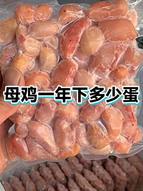 土鸡一般养几个月下蛋图标
