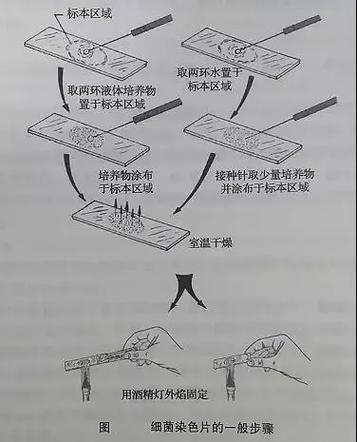 染色剂染衣服的原理图标